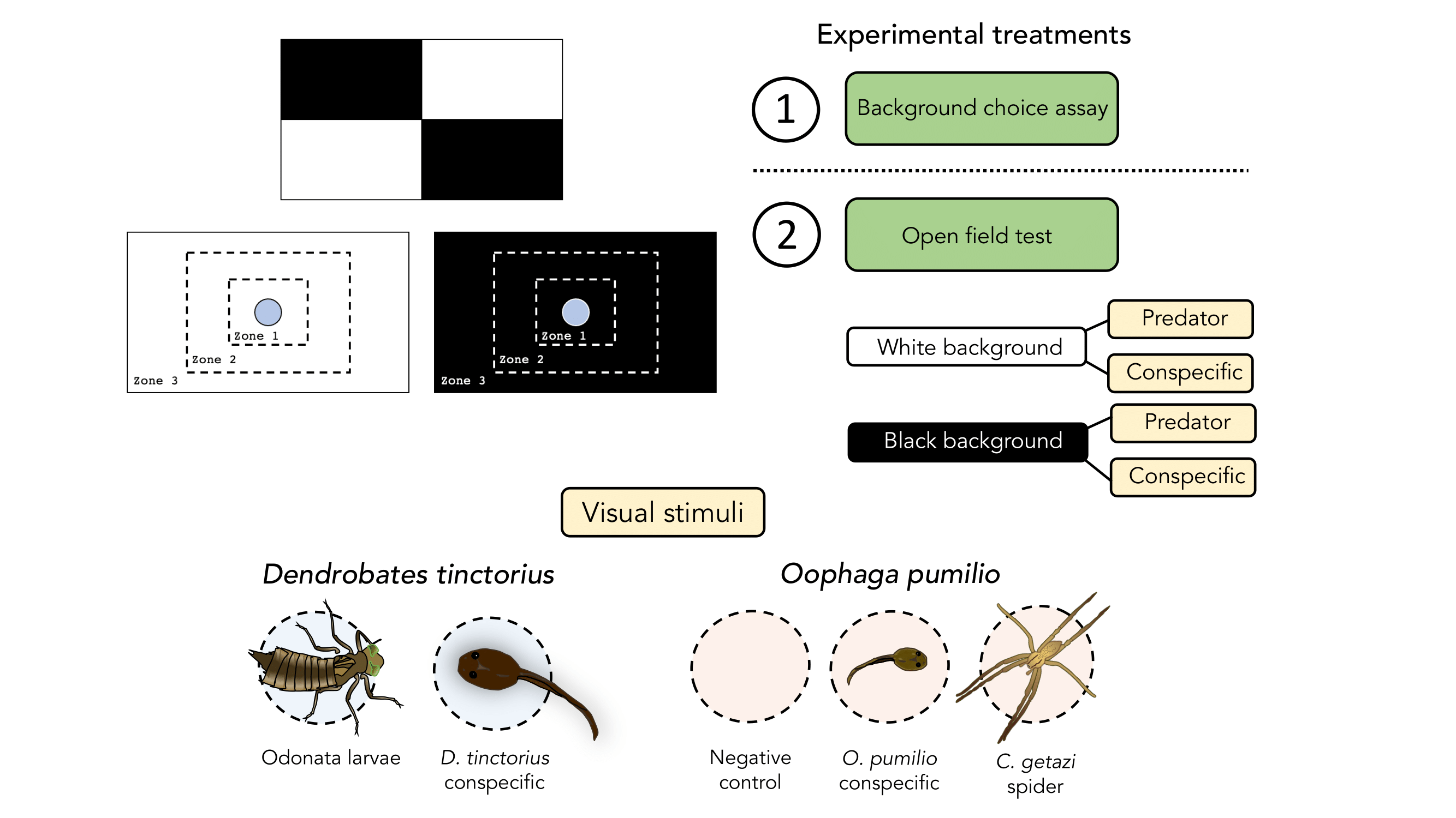Data Viz and Sci Comm. – Chloe Fouilloux